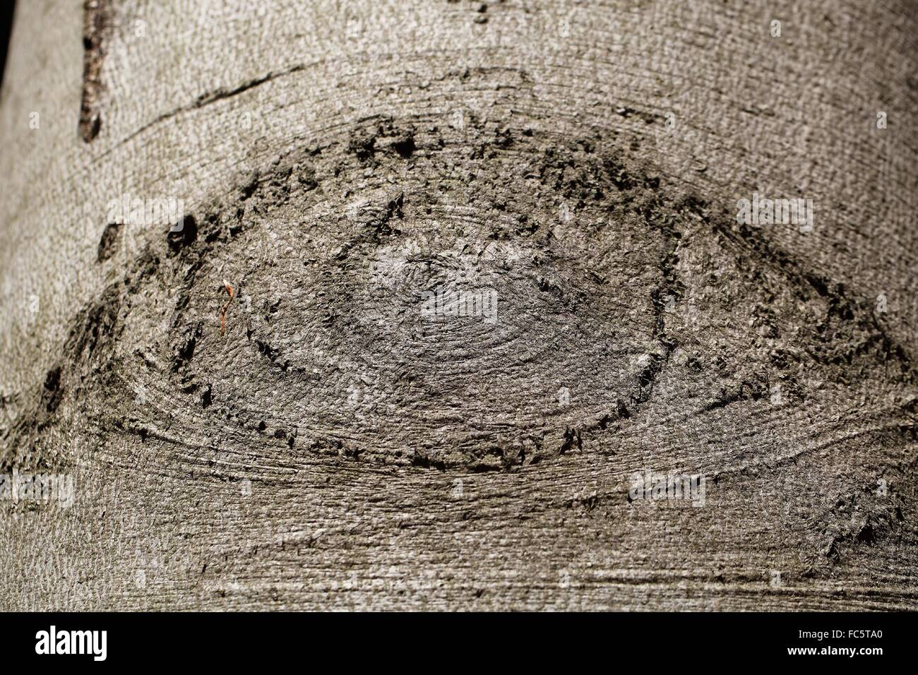 Structure of the eye hi-res stock photography and images - Alamy
