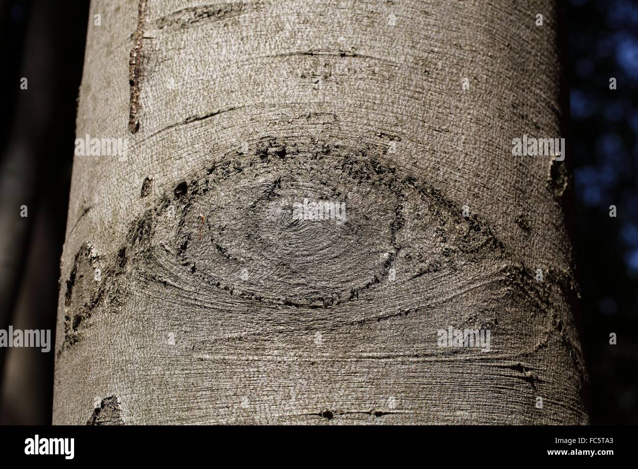 Structure of the eye hi-res stock photography and images - Alamy