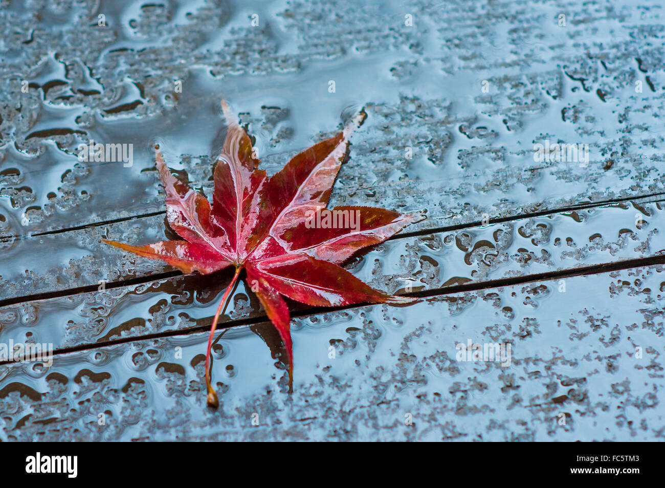 Wet wood surface hi-res stock photography and images - Alamy