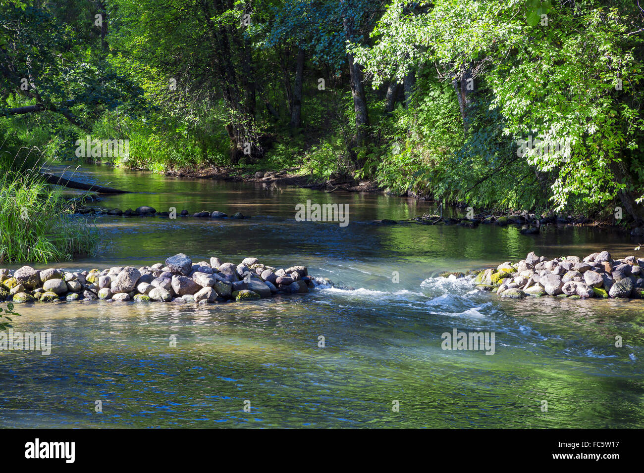 fast river, forest Stock Photo - Alamy