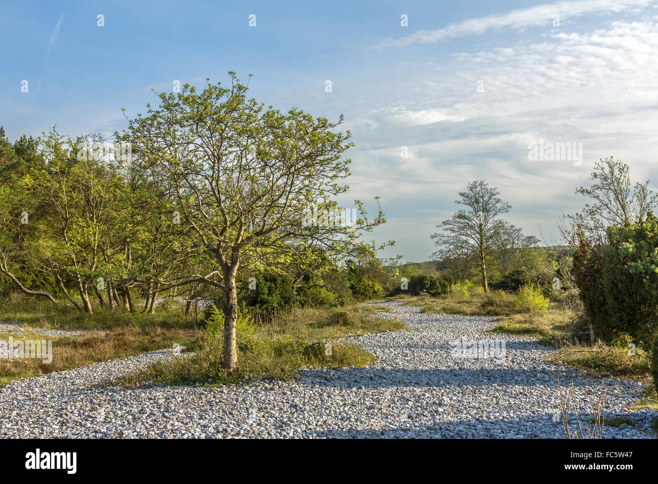 Mugran hi-res stock photography and images - Alamy