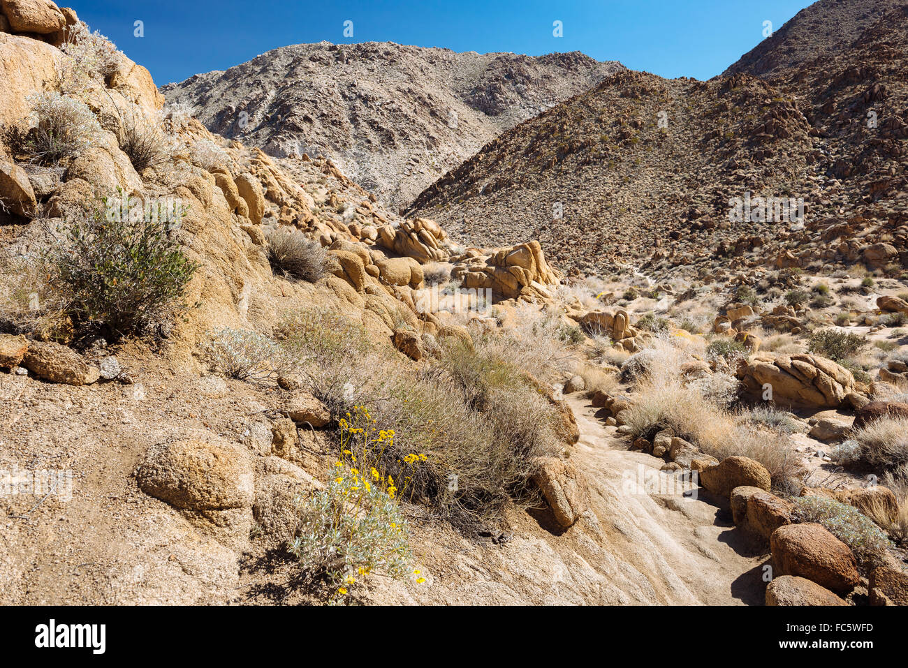 49 Palms Oasis Trail in Joshua Tree National Park, California Stock ...