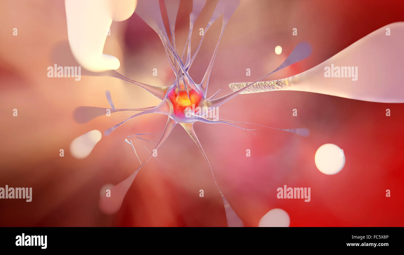 Serotonin microscope hi-res stock photography and images - Alamy