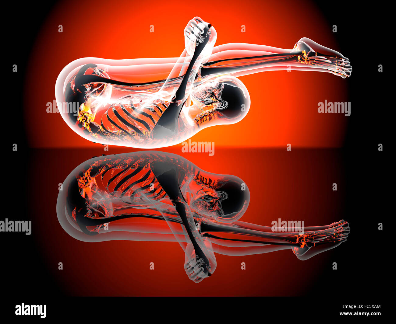 Inverted Anatomy High Resolution Stock Photography and Images - Alamy