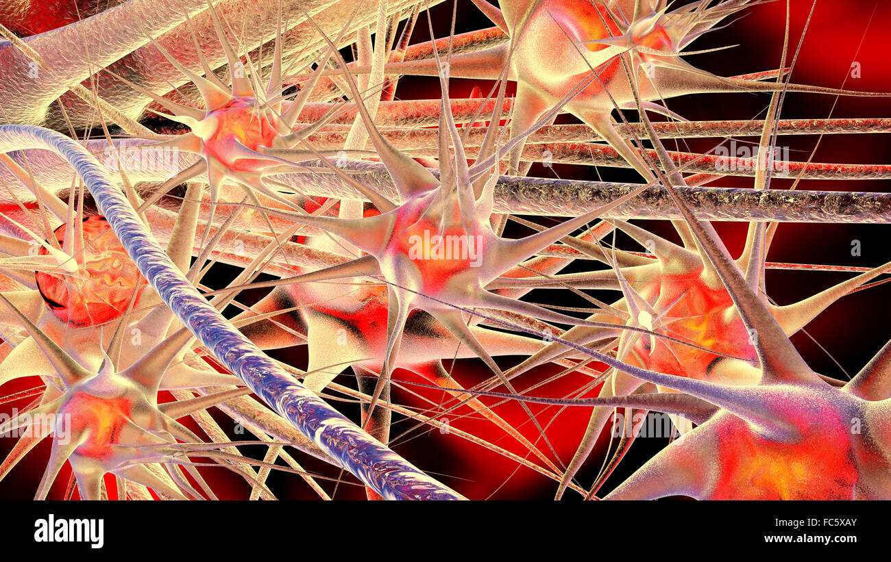 Neural Network Microscope High Resolution Stock Photography and Images ...