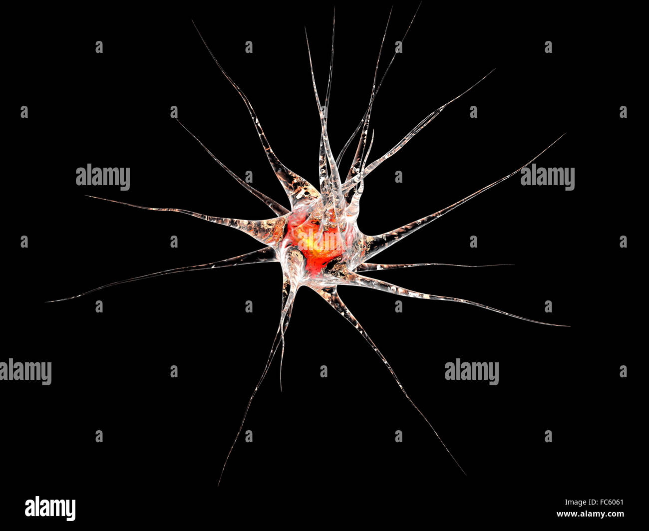 Brain neuron anatomy depression hi-res stock photography and images - Alamy