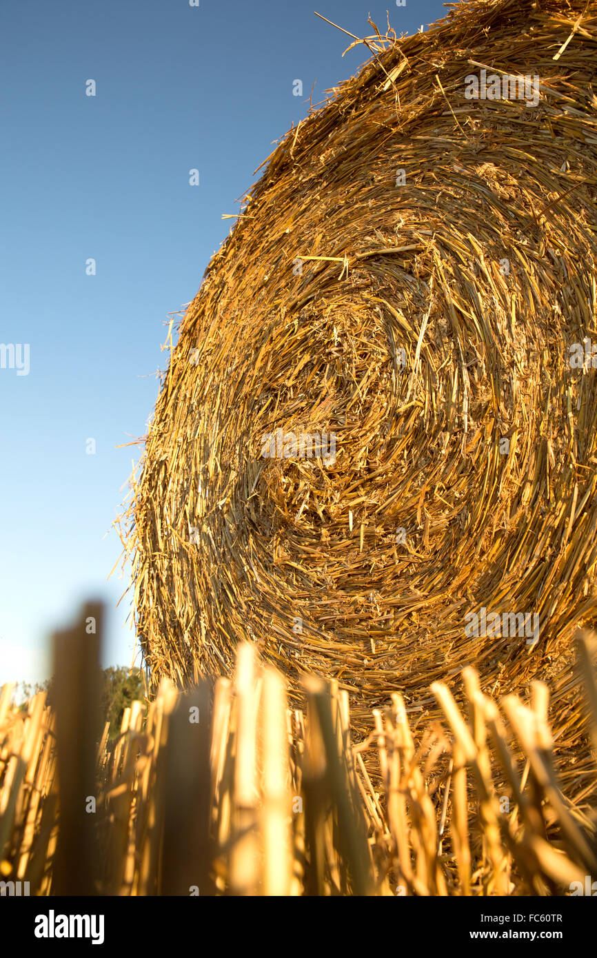 Hay rollers hi-res stock photography and images - Alamy
