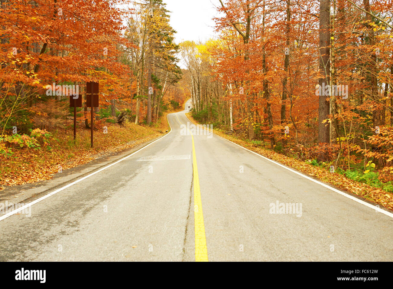 Autumn scene with road Stock Photo - Alamy