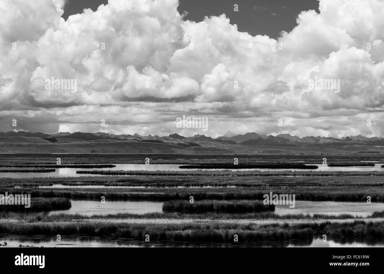 Lake junin peru hi-res stock photography and images - Alamy