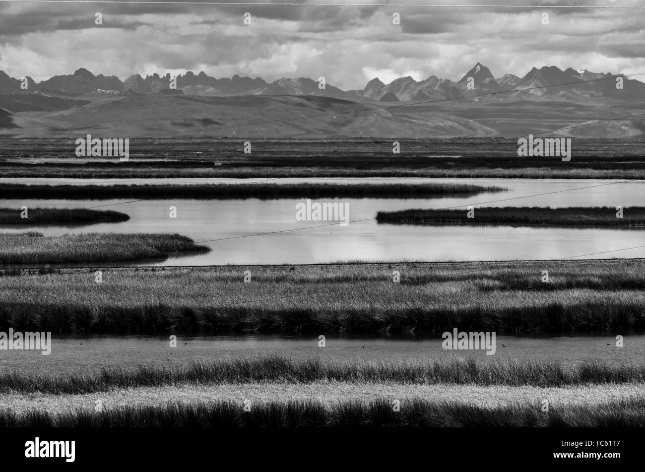 Lake junin peru hi-res stock photography and images - Alamy