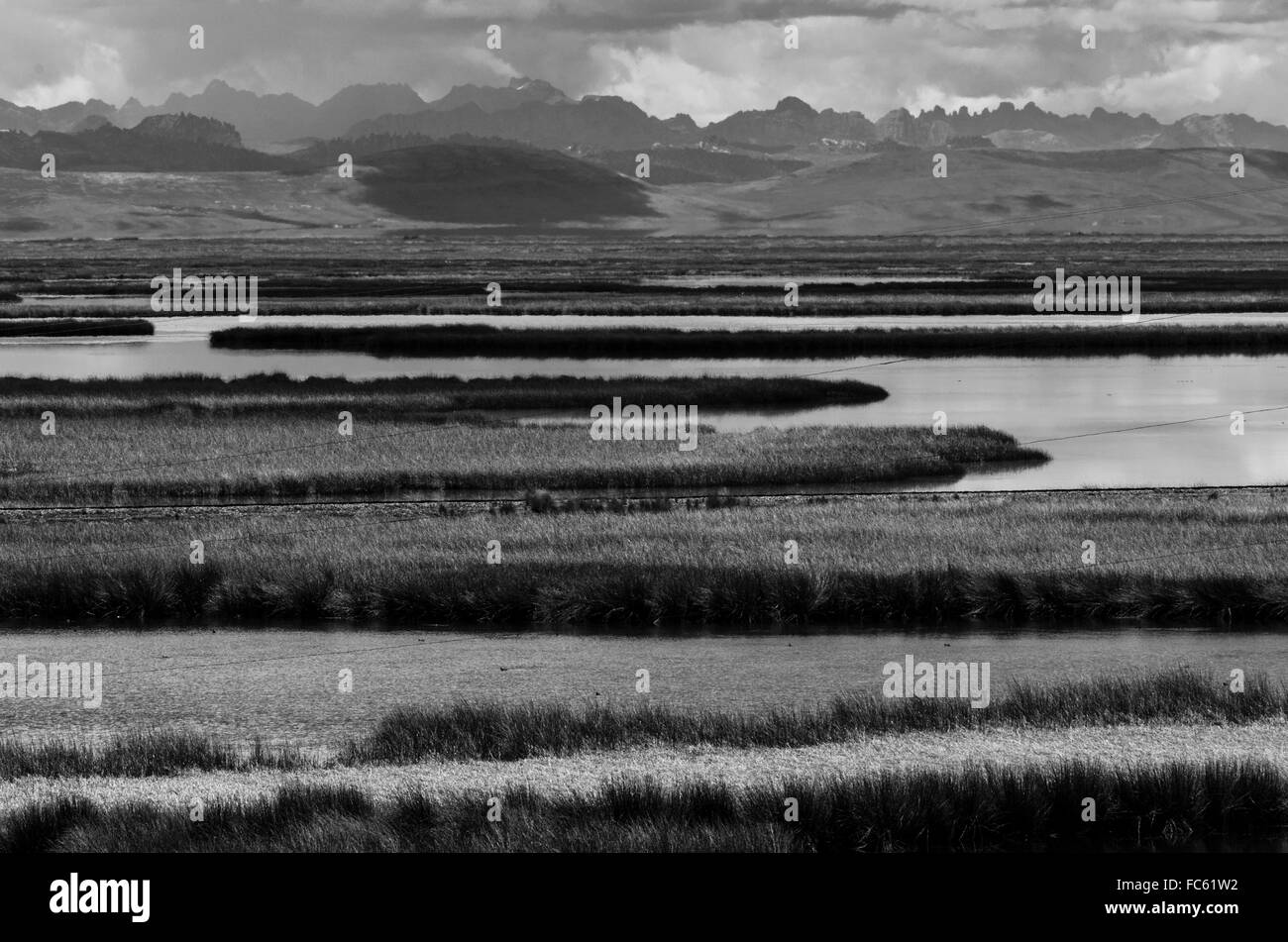 Lake junin peru hi-res stock photography and images - Alamy