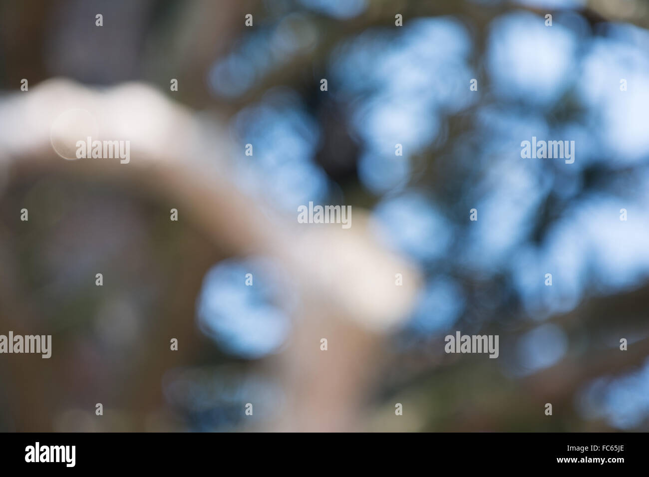 Background with light effects Stock Photo - Alamy