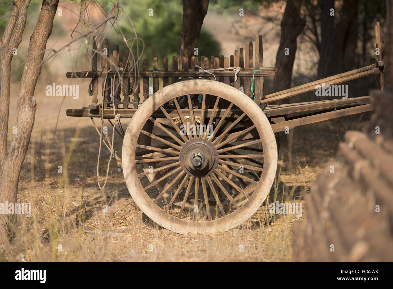 ASIA MYANMAR BAGAN TEMPLE PAGODA AGRACULTURE Stock Photo - Alamy