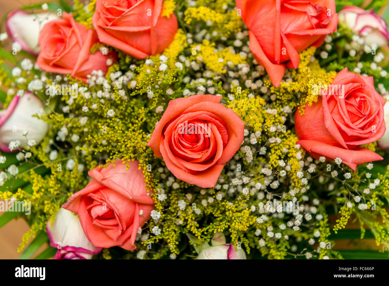 Nice roses in celebration concept Stock Photo - Alamy
