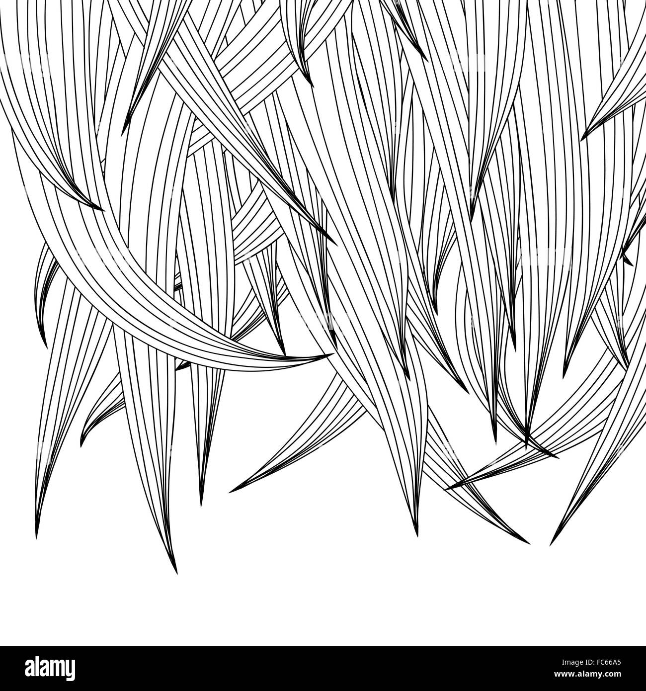 Hairstyle hair care concept Black and White Stock Photos & Images - Alamy