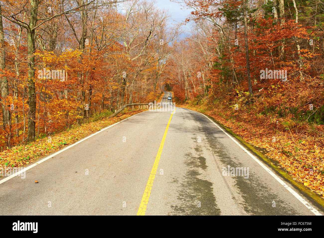 Autumn scene with road Stock Photo - Alamy