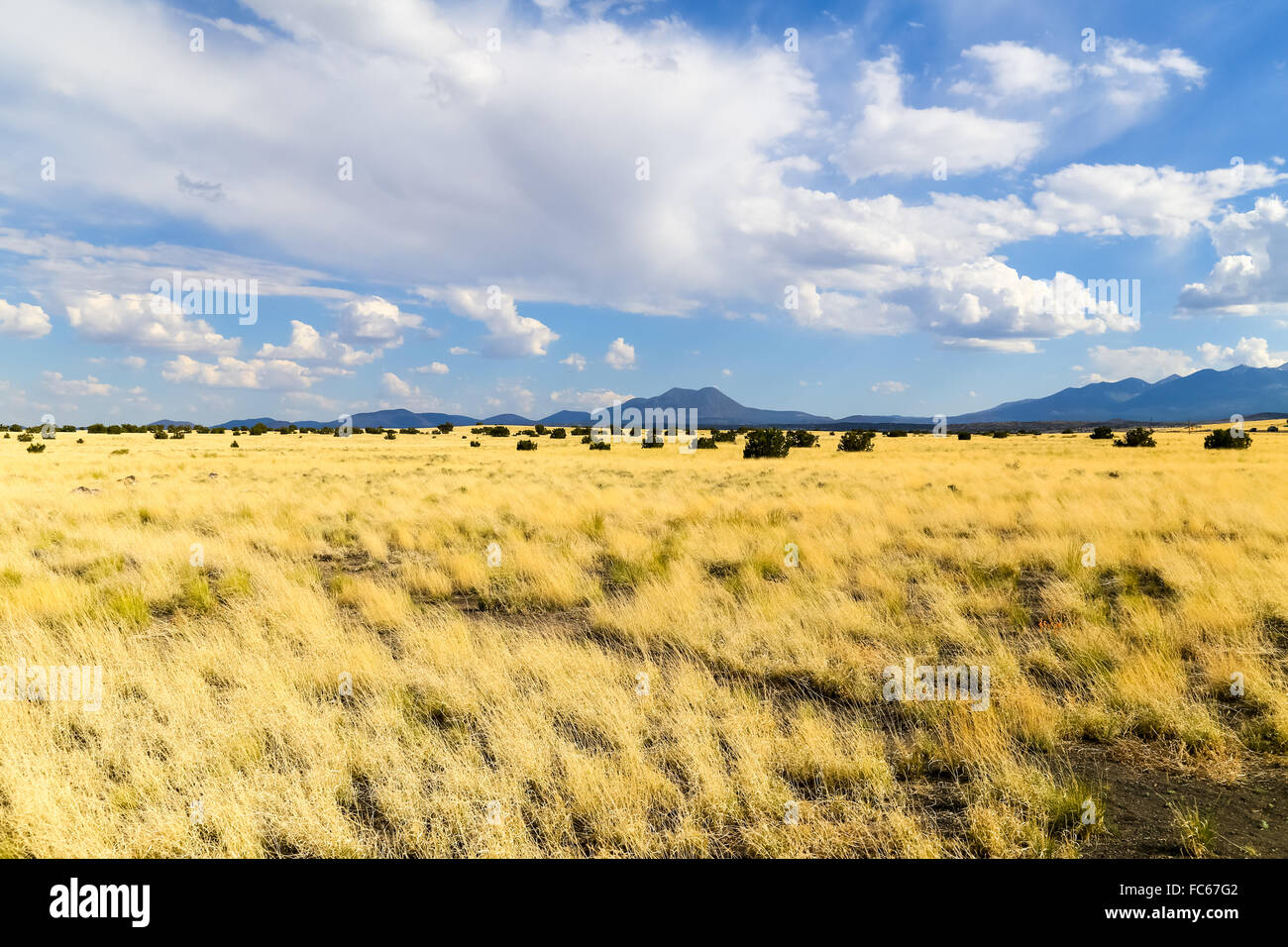Prairie sightseeing hi-res stock photography and images - Alamy