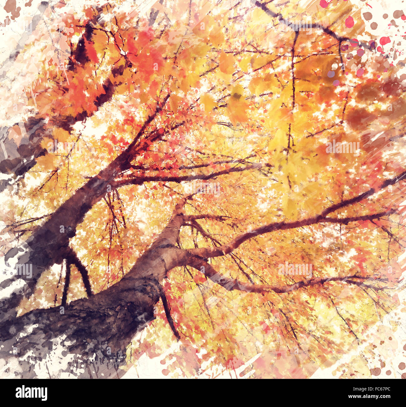 Digital painting autumn trees hi-res stock photography and images - Alamy