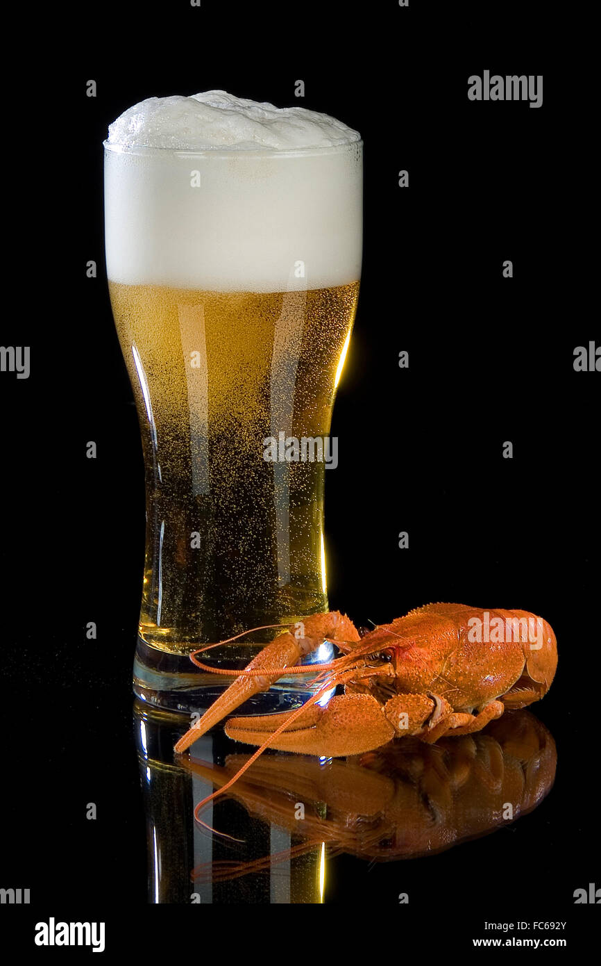 Beer And Crawfish Stock Photo - Alamy