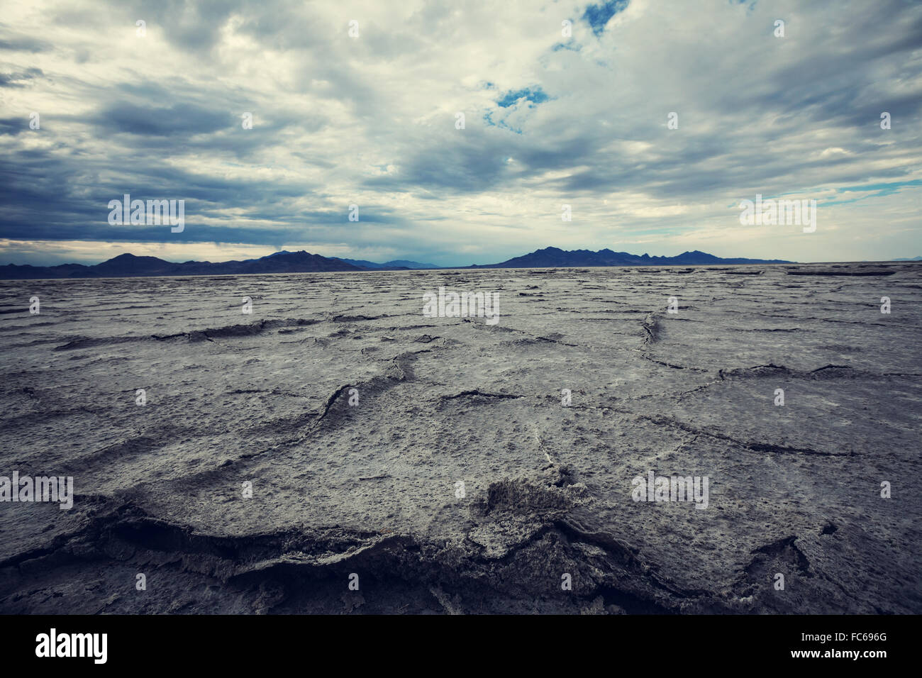 Salt prairie hi-res stock photography and images - Alamy
