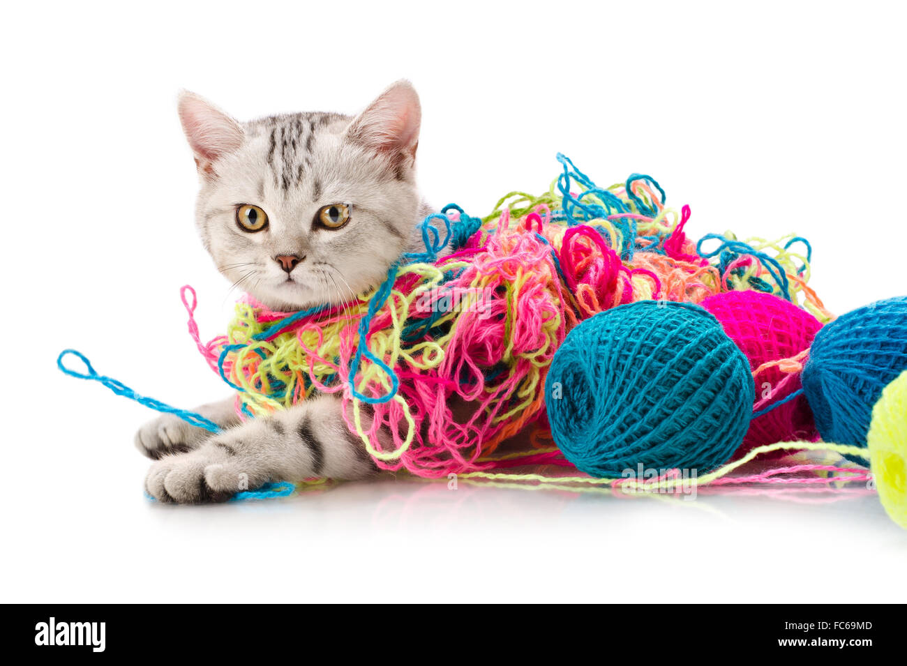 Ball of string kitten hi-res stock photography and images - Alamy