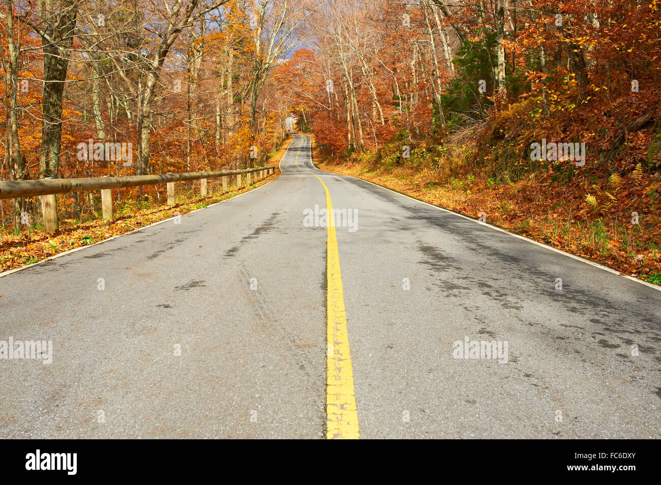 Autumn scene with road Stock Photo - Alamy