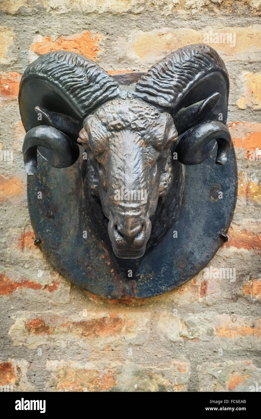 Tup ram hi-res stock photography and images - Alamy