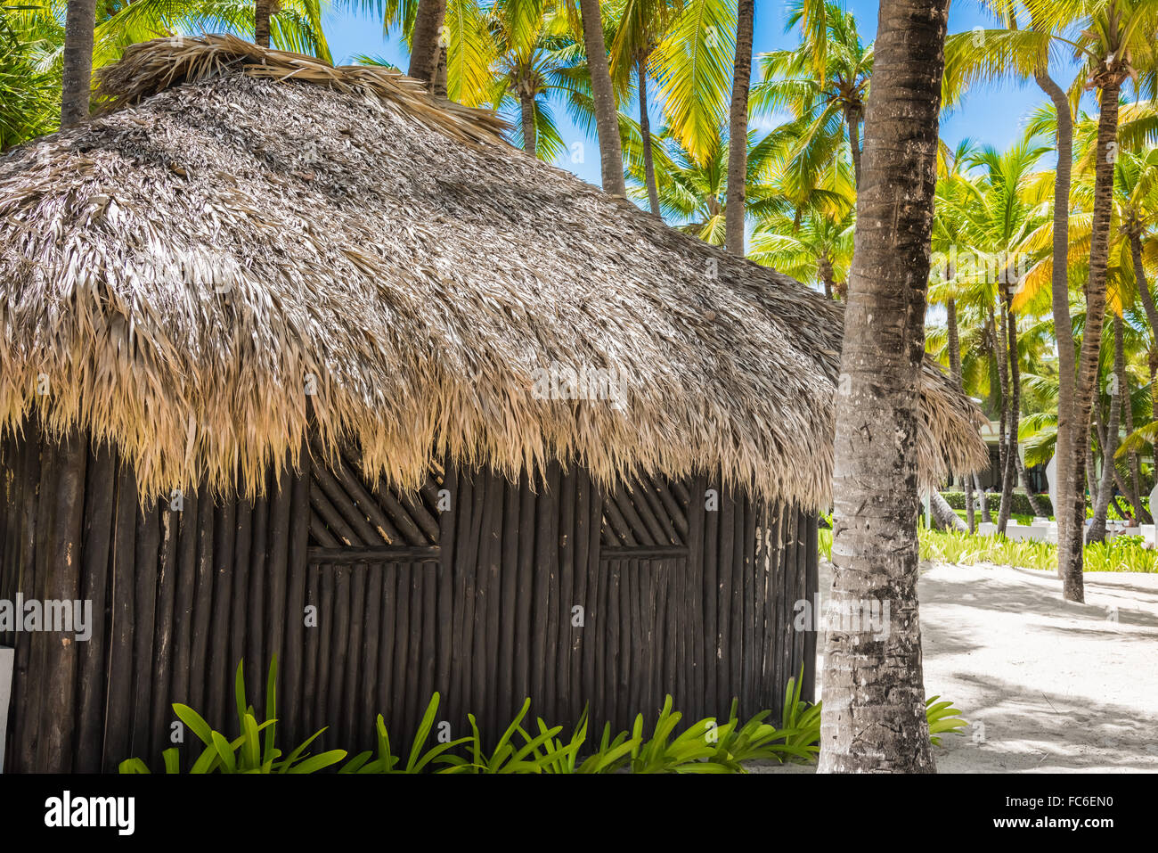 hut covered with palm leaves Stock Photo - Alamy
