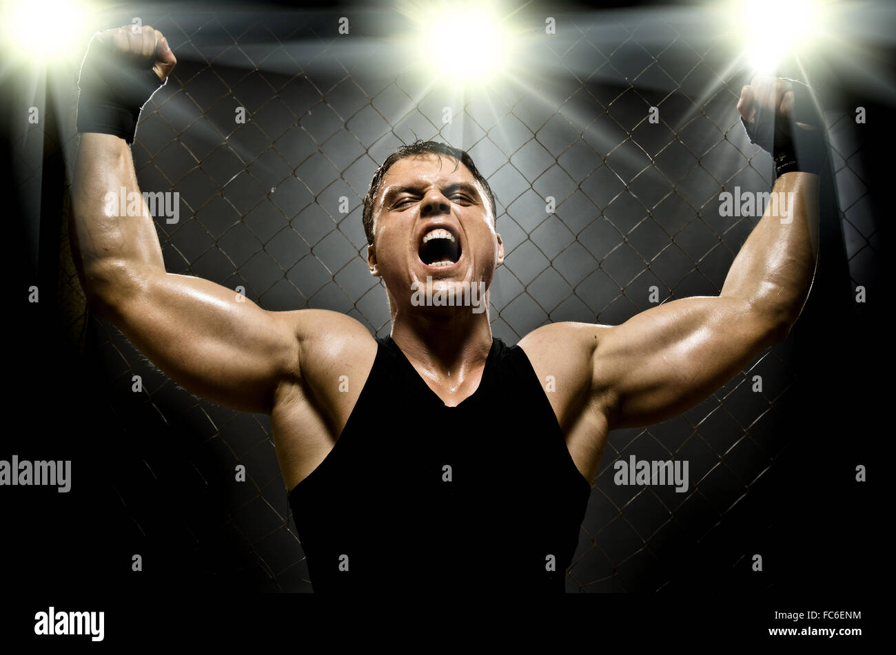 Top fighter hi-res stock photography and images - Alamy