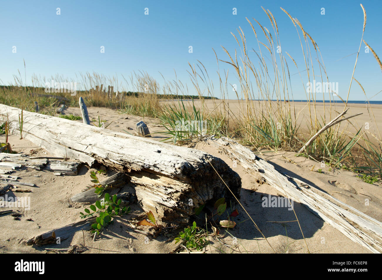 White Sea .Russia Stock Photo - Alamy