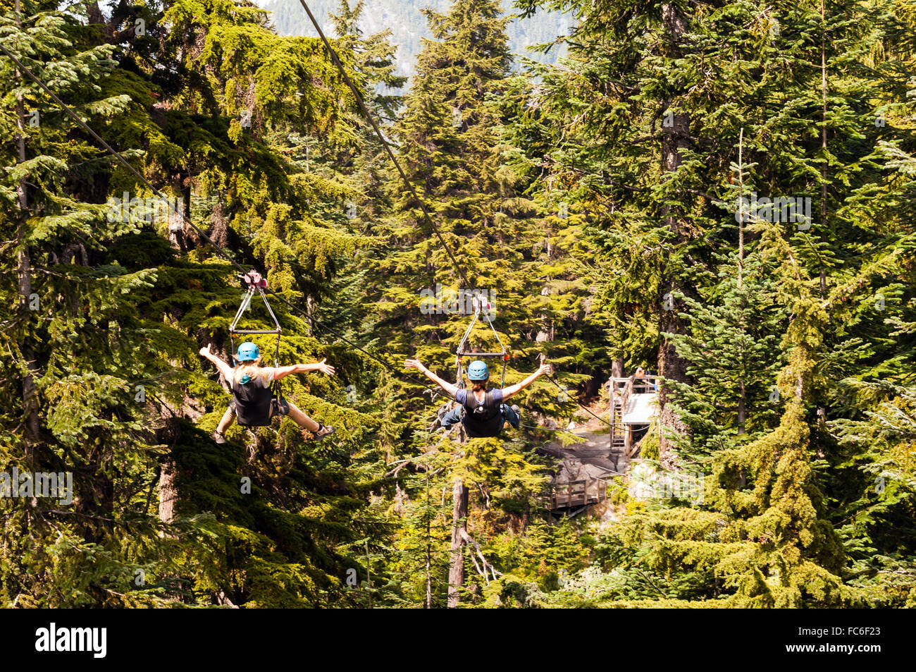Zip lining hi-res stock photography and images - Alamy