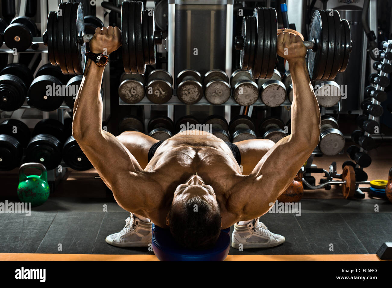 Bodybuil hi-res stock photography and images - Alamy