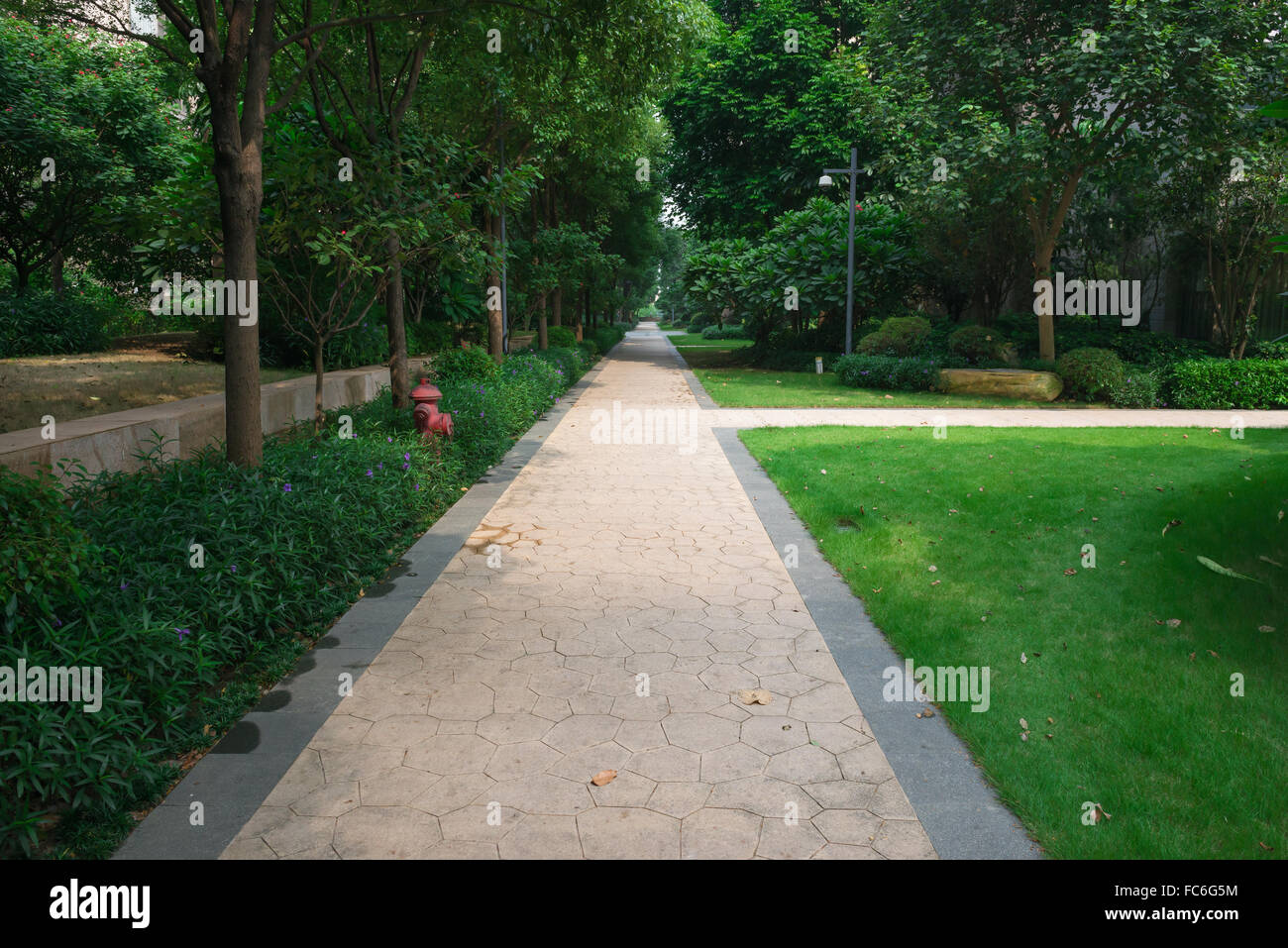 pathway in outdoor of a residential building Stock Photo - Alamy
