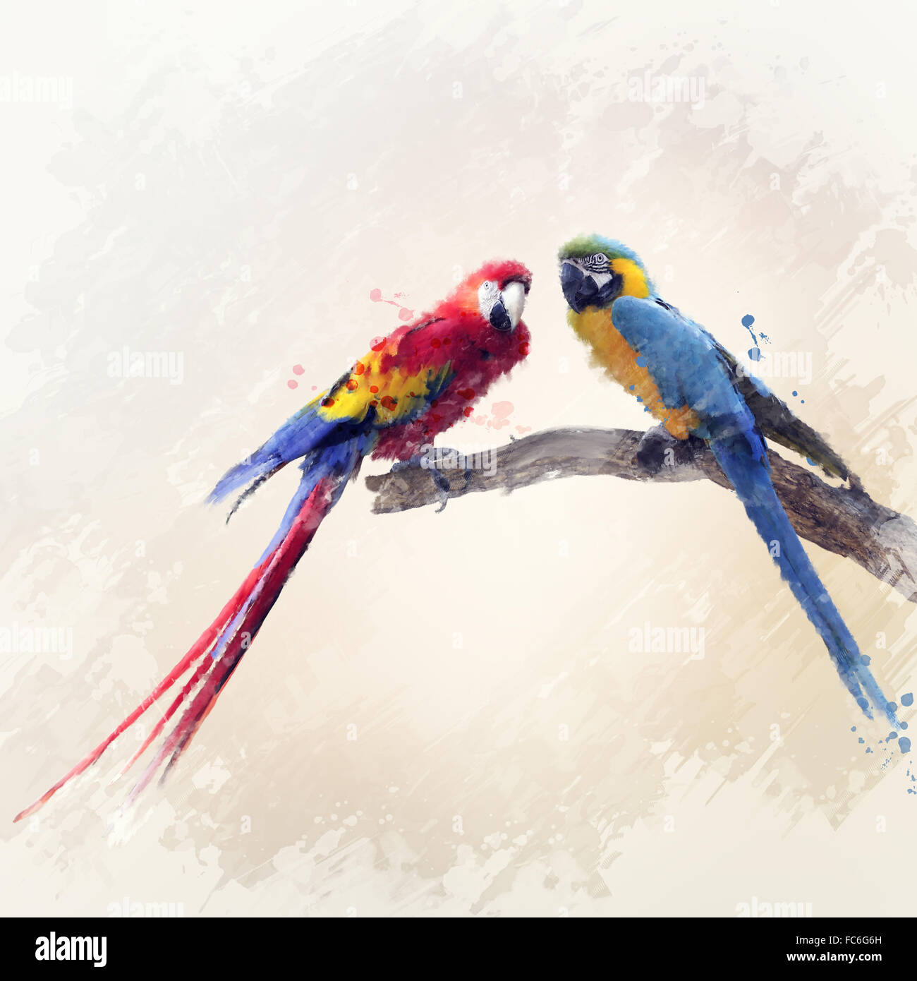 Parrot watercolor artwork hi-res stock photography and images - Alamy