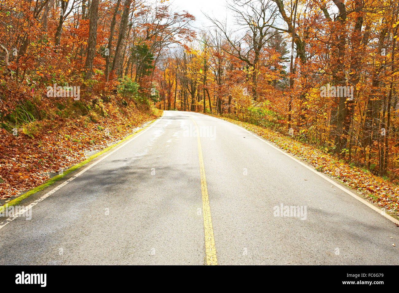 Autumn scene with road Stock Photo - Alamy