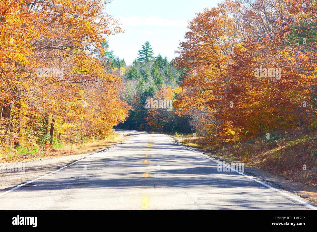 Autumn scene with road Stock Photo - Alamy