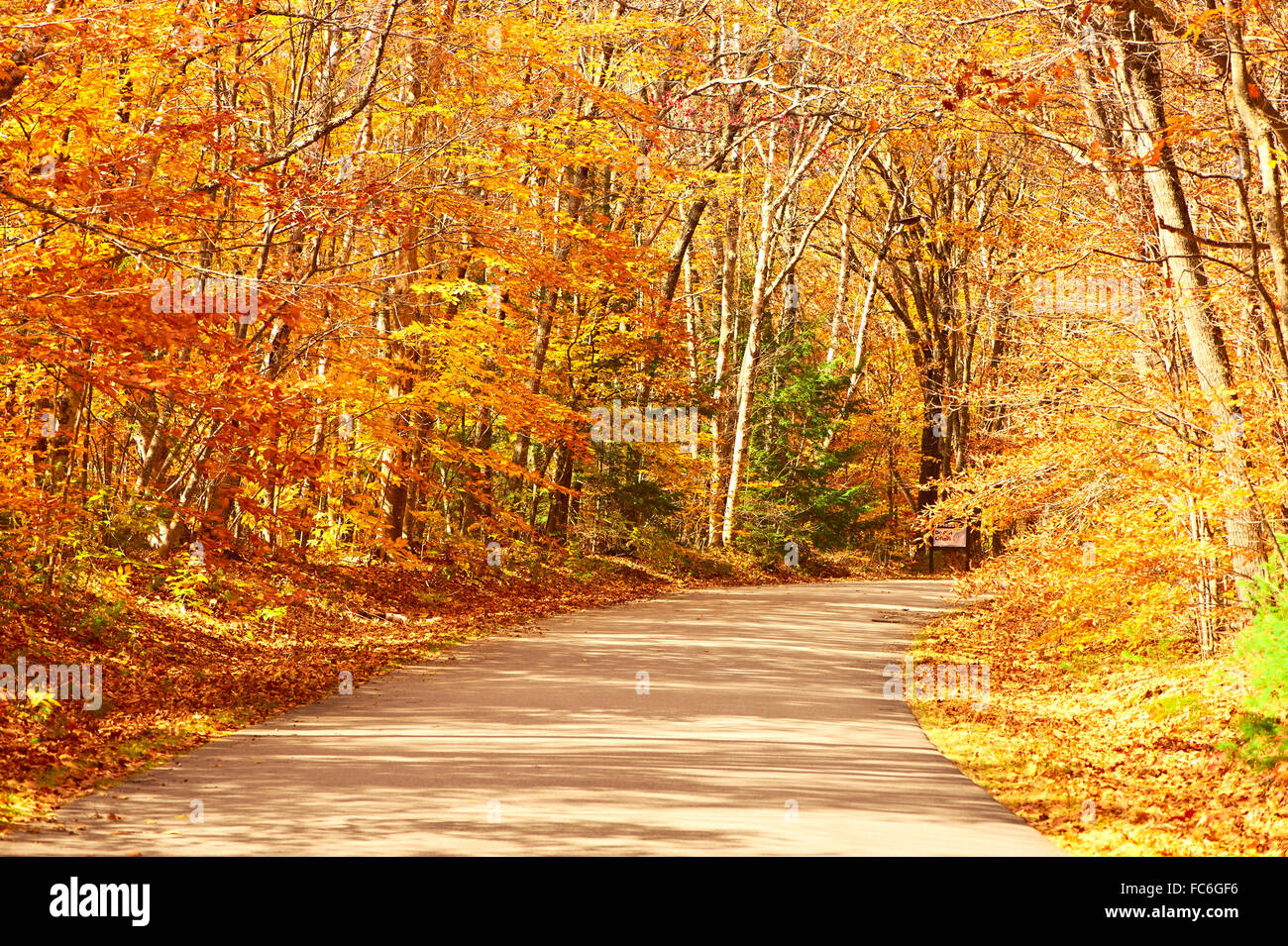 Autumn scene with road Stock Photo - Alamy