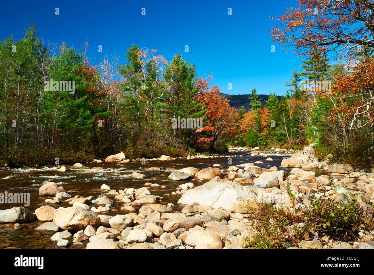 Swift River at autumn Stock Photo - Alamy