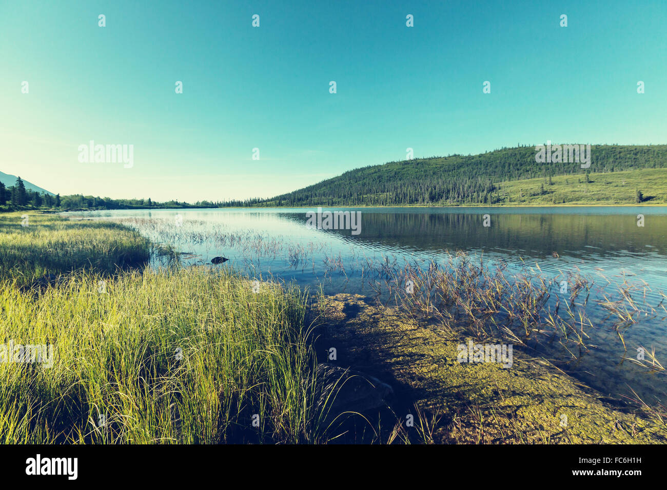 Lake in Alaska Stock Photo - Alamy