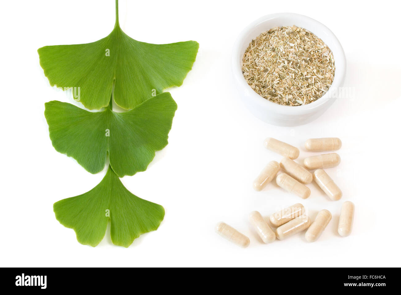Ginkgo capsules with three leaves Stock Photo - Alamy
