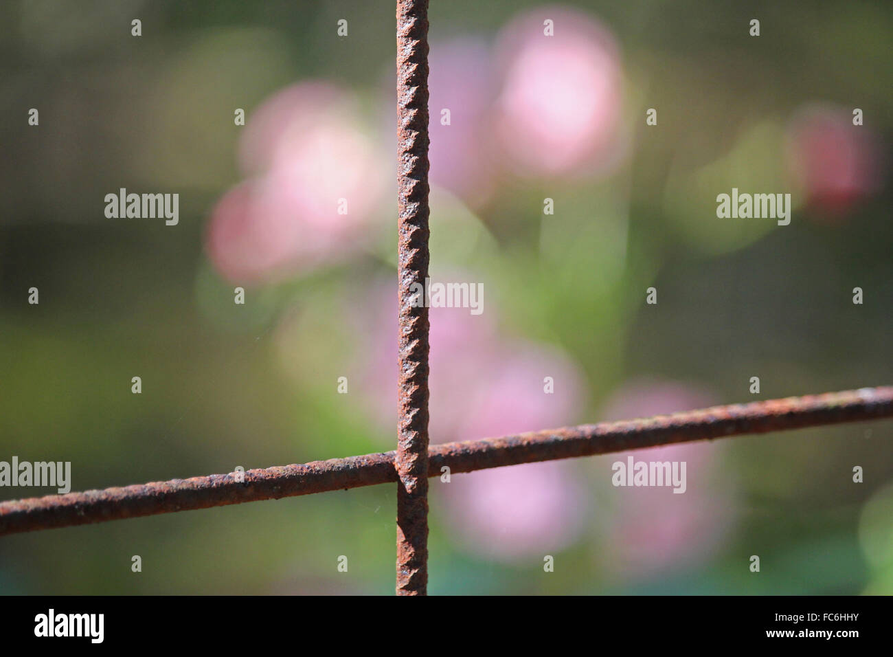 Leave building hi-res stock photography and images - Alamy