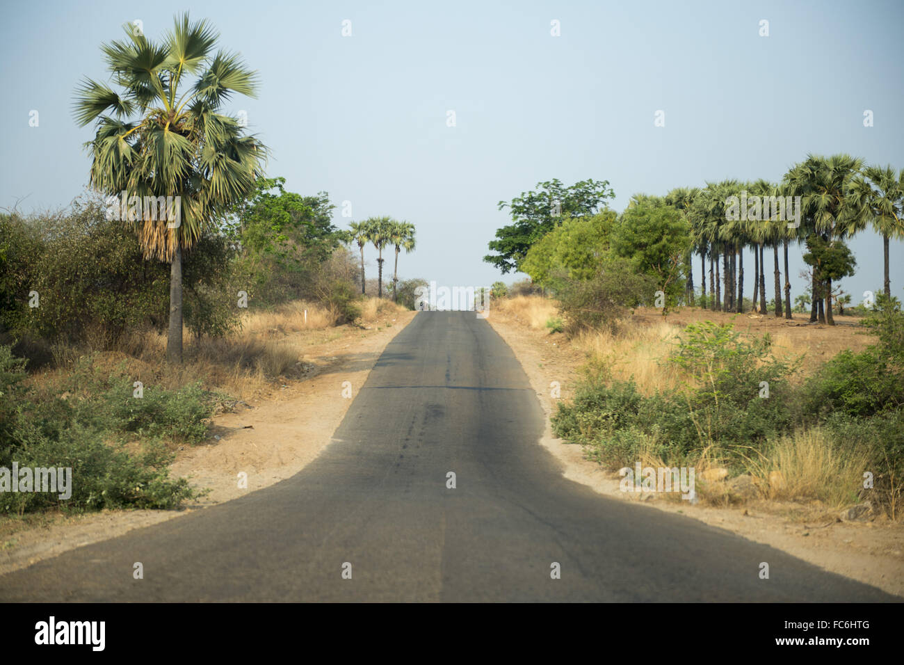 ASIA MYANMAR MYINGYAN ROAD LANDSCAPE Stock Photo - Alamy