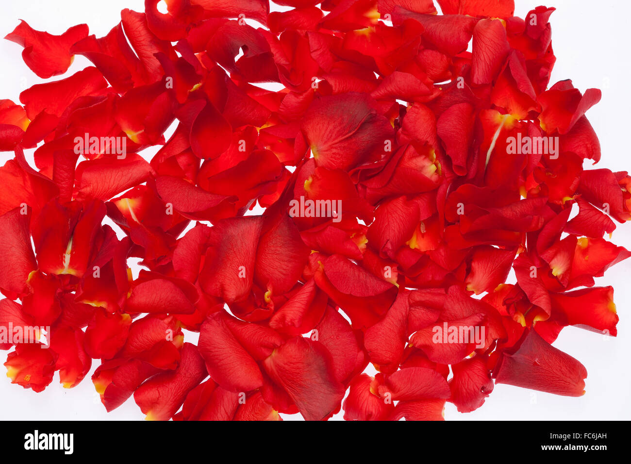Arrangement of petals hi-res stock photography and images - Alamy