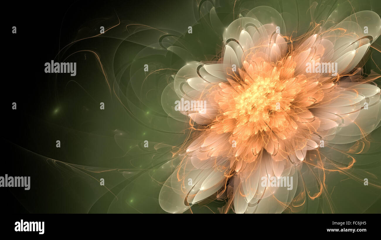 Chaotic flower hi-res stock photography and images - Alamy