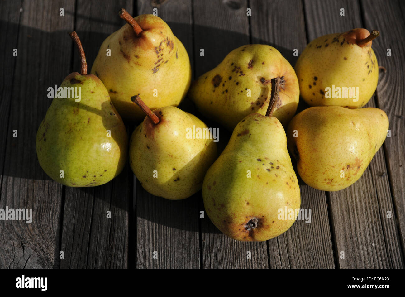 Pear flower hi-res stock photography and images - Alamy