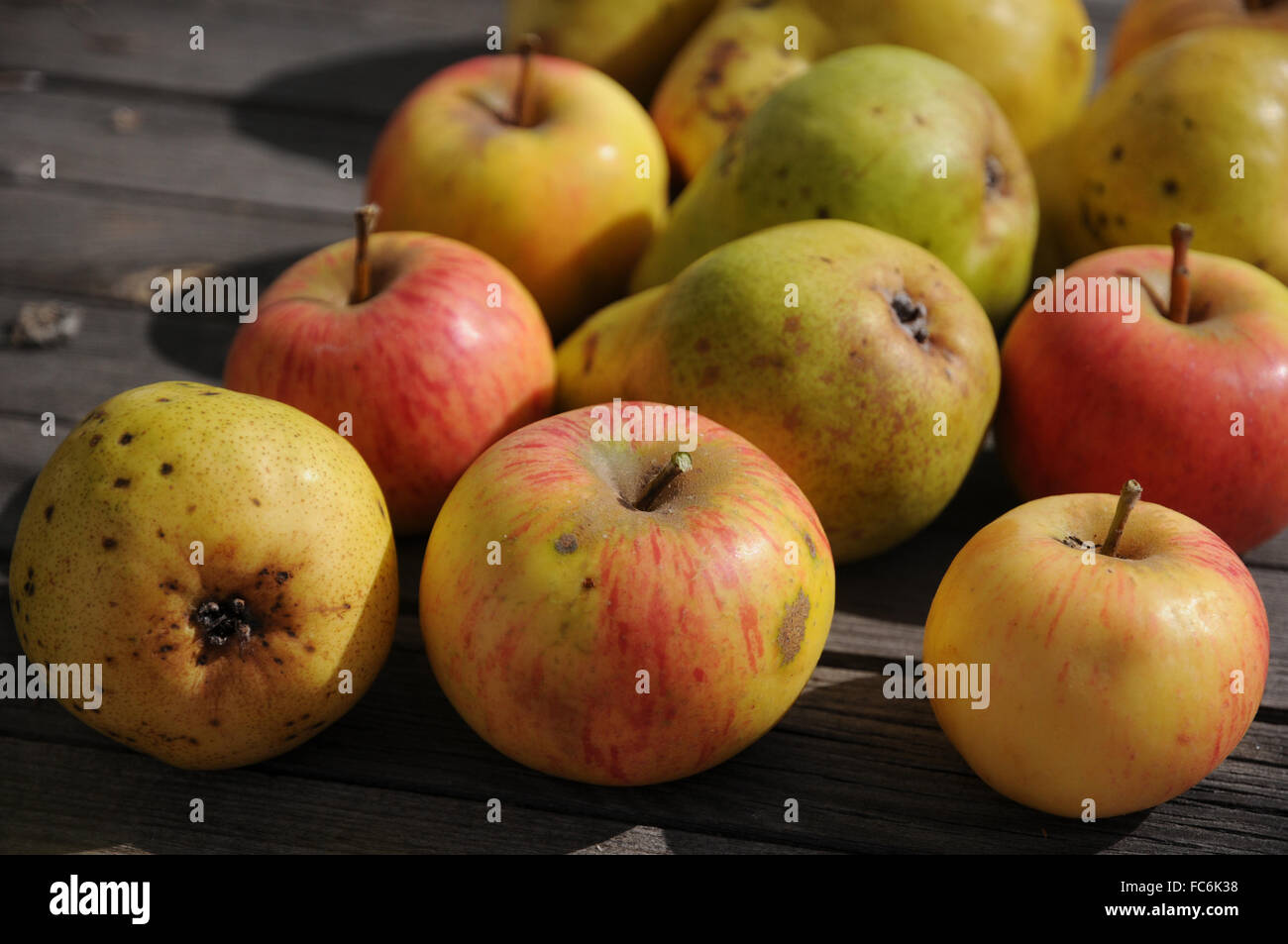 Apples and pear trees hi-res stock photography and images - Alamy