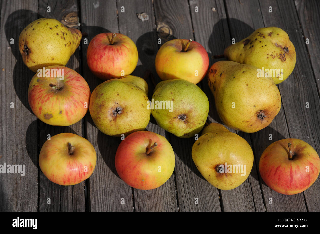 Apples and pear trees hi-res stock photography and images - Alamy