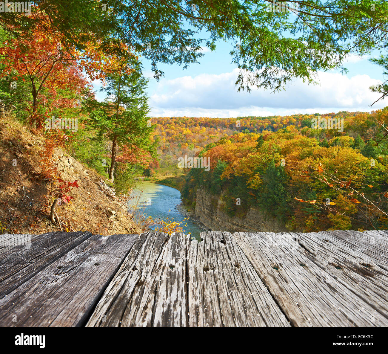Autumn scene of river and forest Stock Photo - Alamy