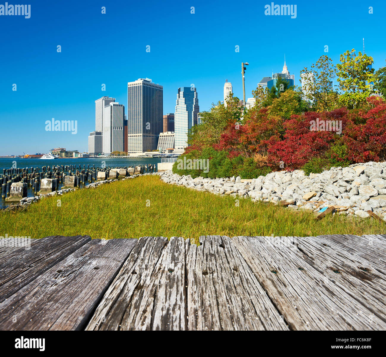 Brooklyn fall foliage hi-res stock photography and images - Alamy