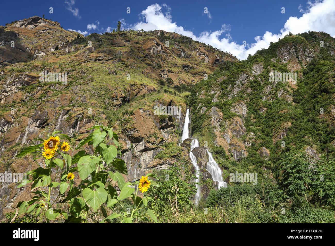 Waterfall in Himalayas Stock Photo - Alamy